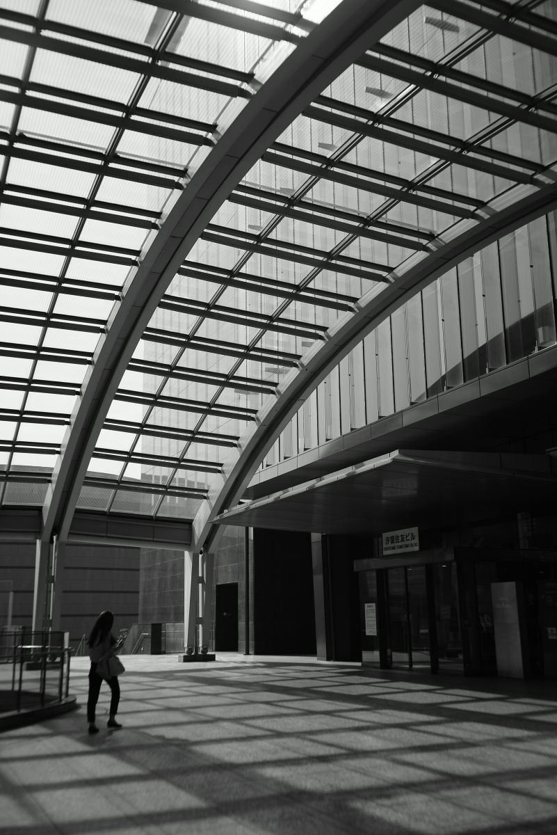 a shadow cage | GANREF