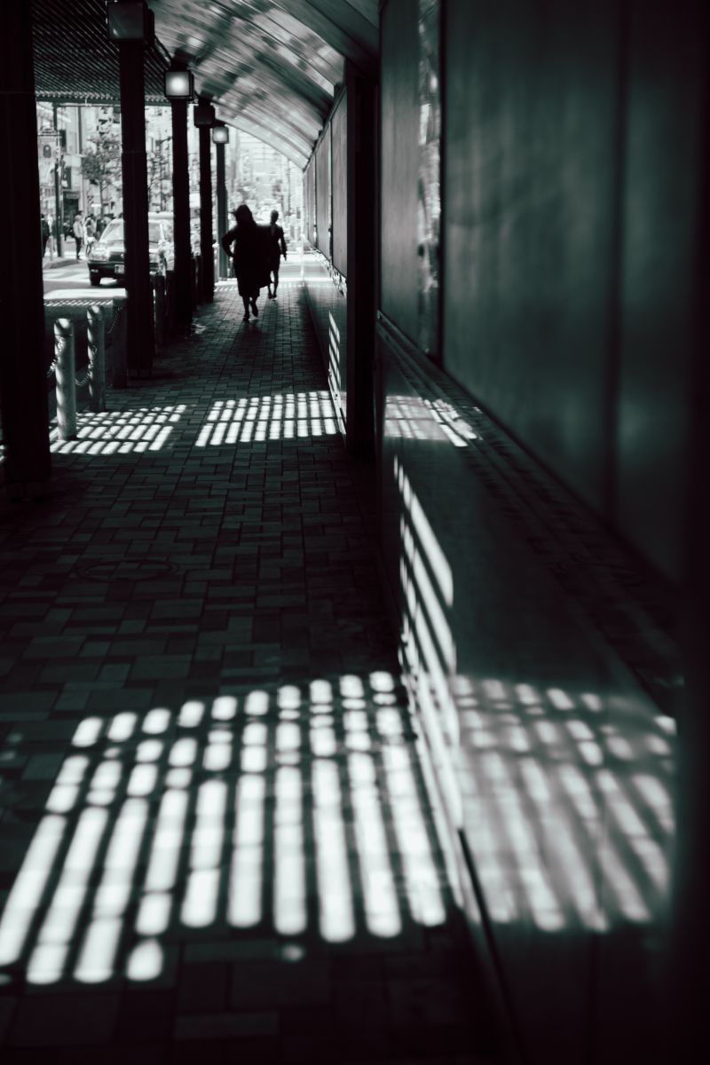 shadow,reflection and glare. | GANREF