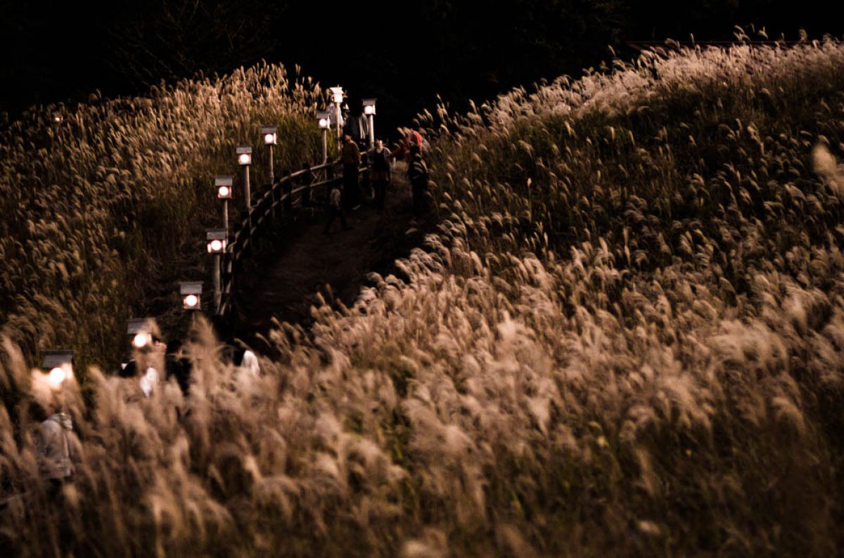 灯篭小道 | GANREF