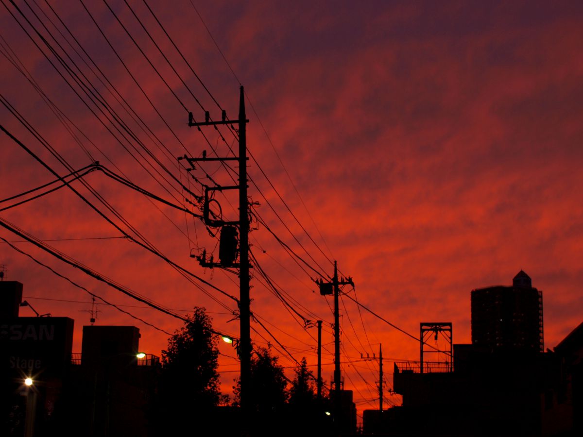 Burning passion | GANREF