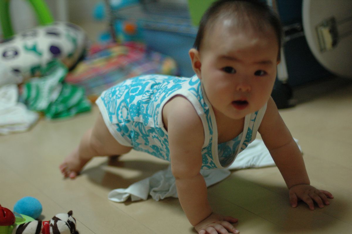 7か月目の腕立て伏せ(2) | GANREF