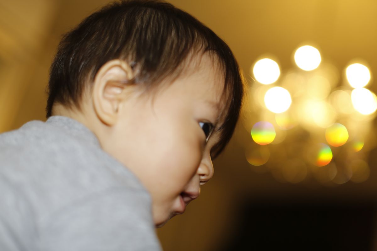 暴れん坊 | GANREF