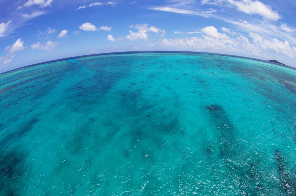 aqua planet | GANREF