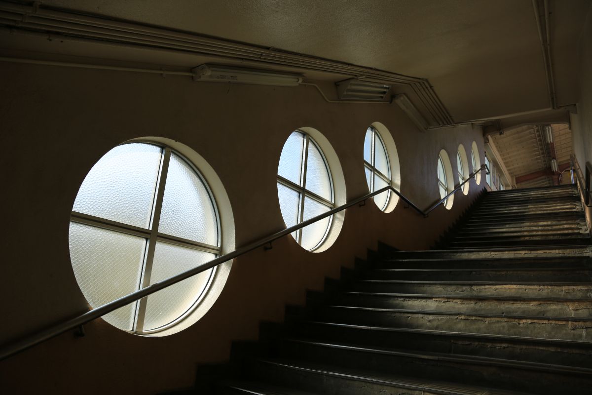 Light & Shadow | GANREF