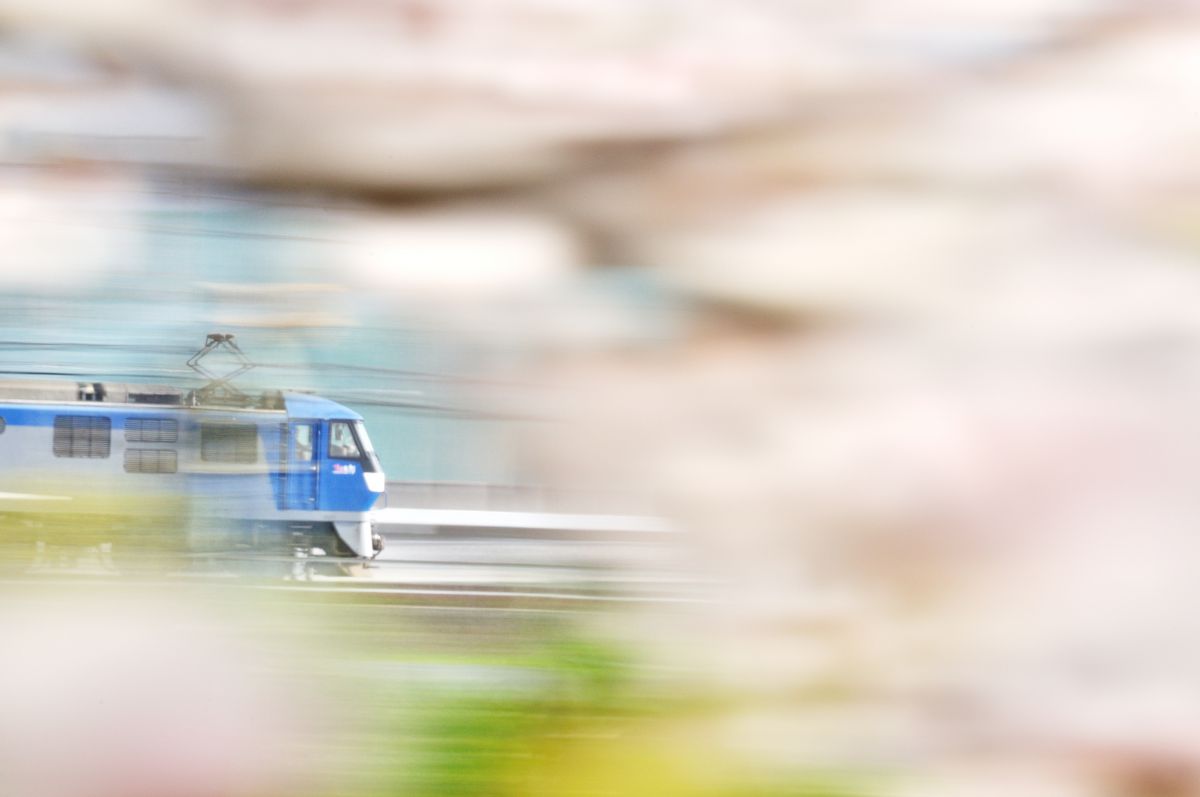 さくら太郎 | GANREF