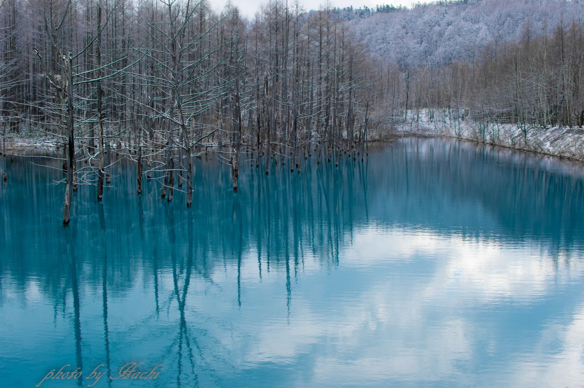 Snow scene of a blue pond | GANREF