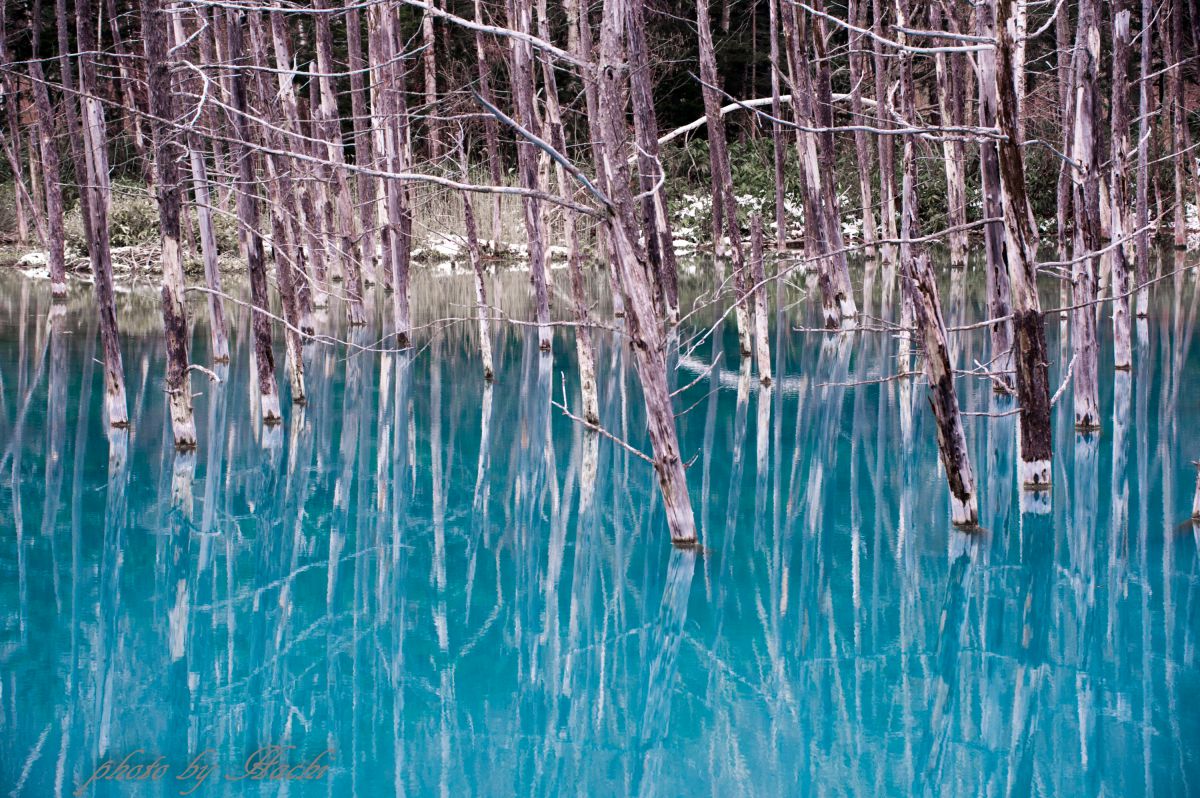 Early-morning blue pond | GANREF