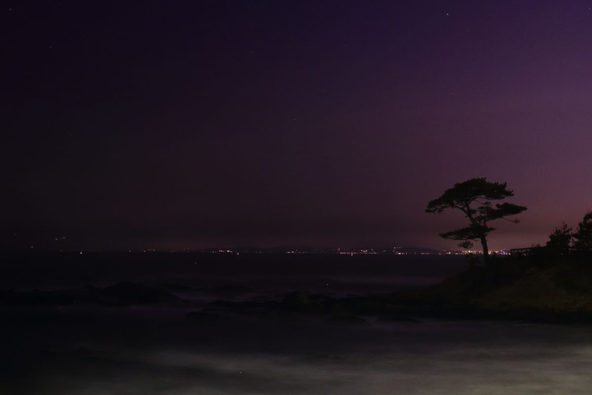 Purple night | GANREF