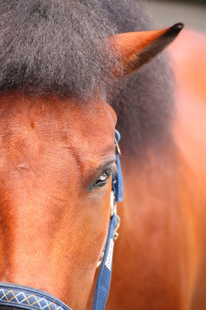 まなざし | GANREF