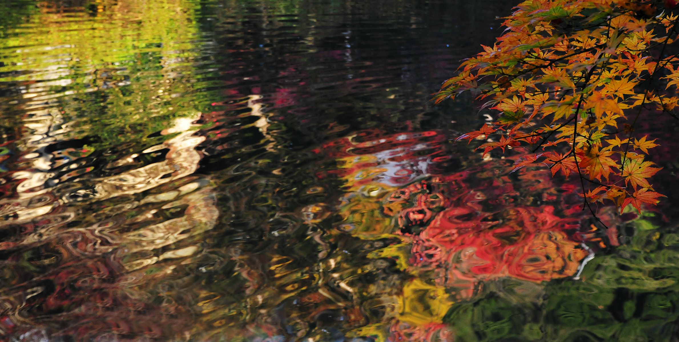 紅の波紋 | GANREF