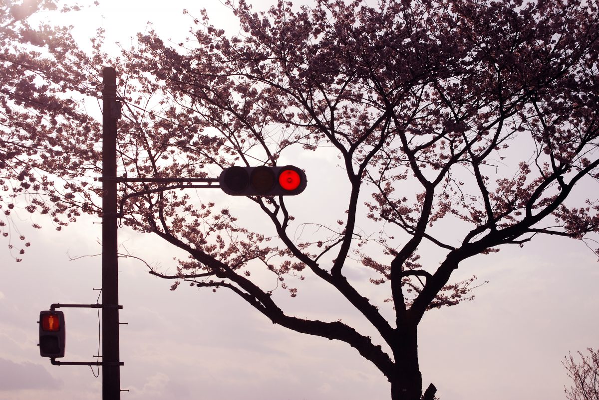 "Stand Still" | GANREF