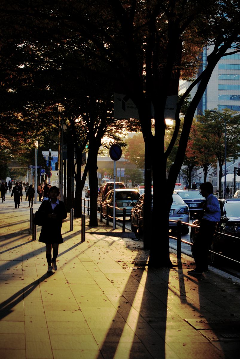 traffic jam | GANREF