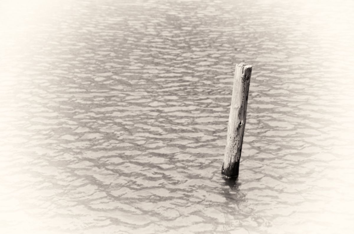 Zen - a pile in pond (B&W) | GANREF
