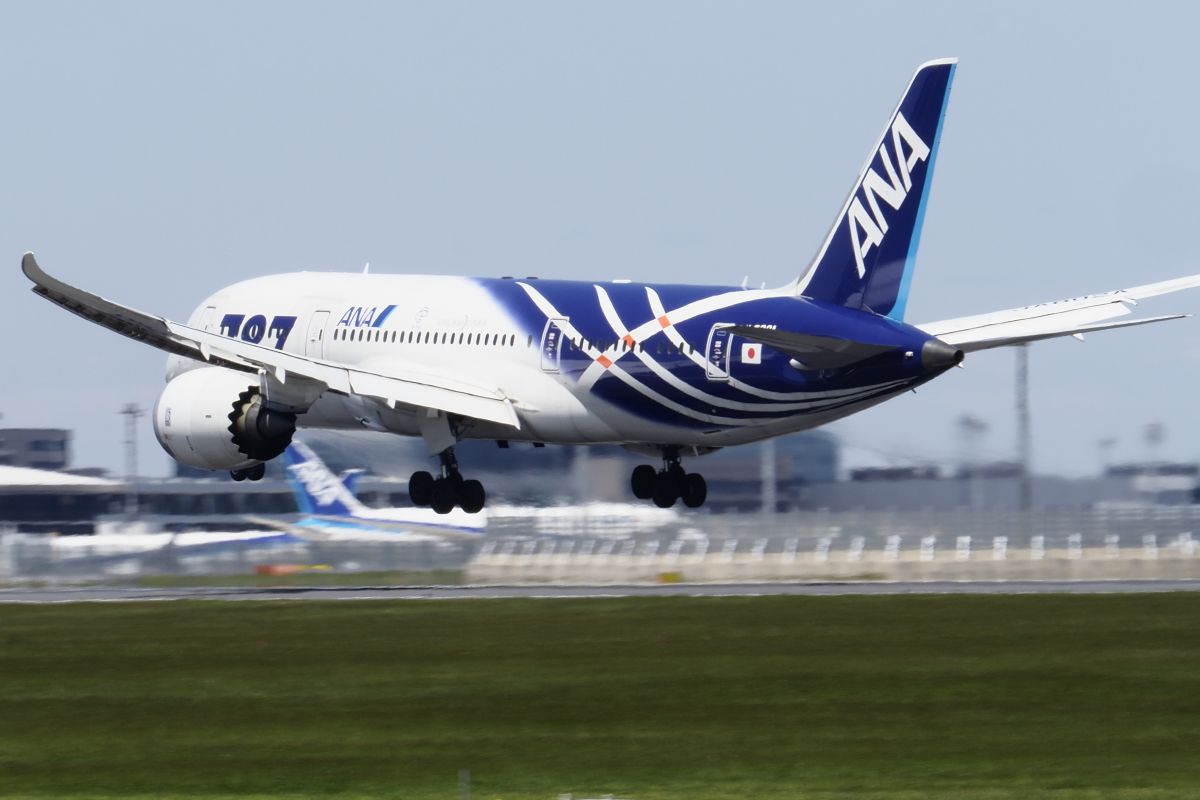 787 002番機（最後のサバ柄） | GANREF