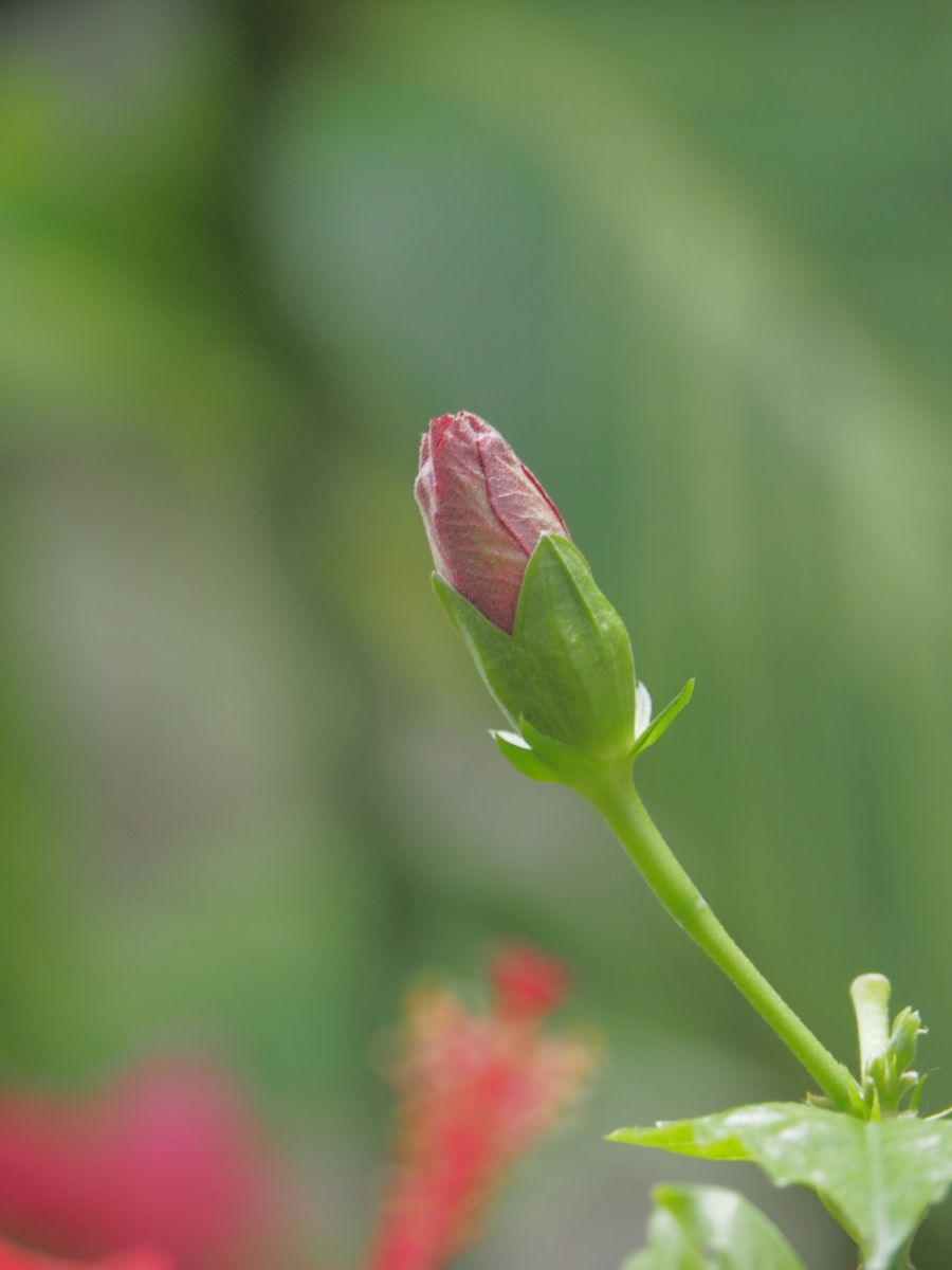 To the future ～未来へ～ | GANREF