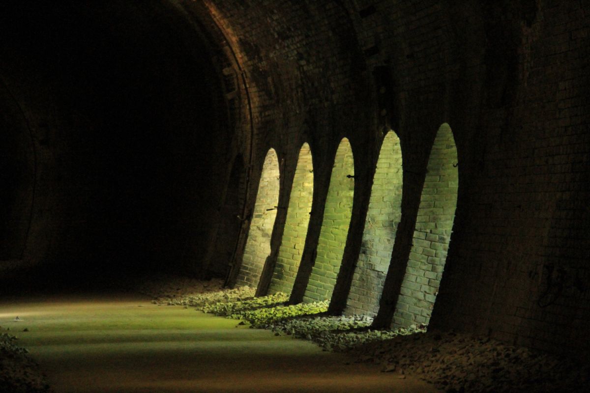 自然の光、緑色。。。 | GANREF