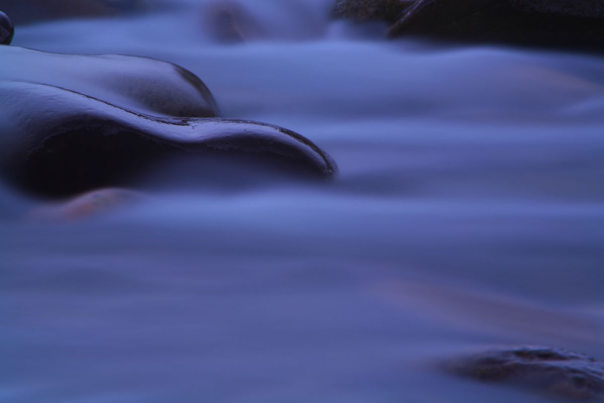 波に濡れて | GANREF