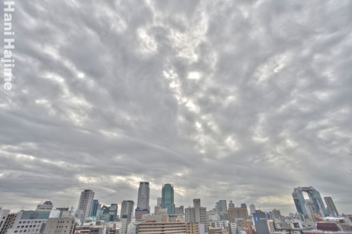 110224-11:50 | GANREF