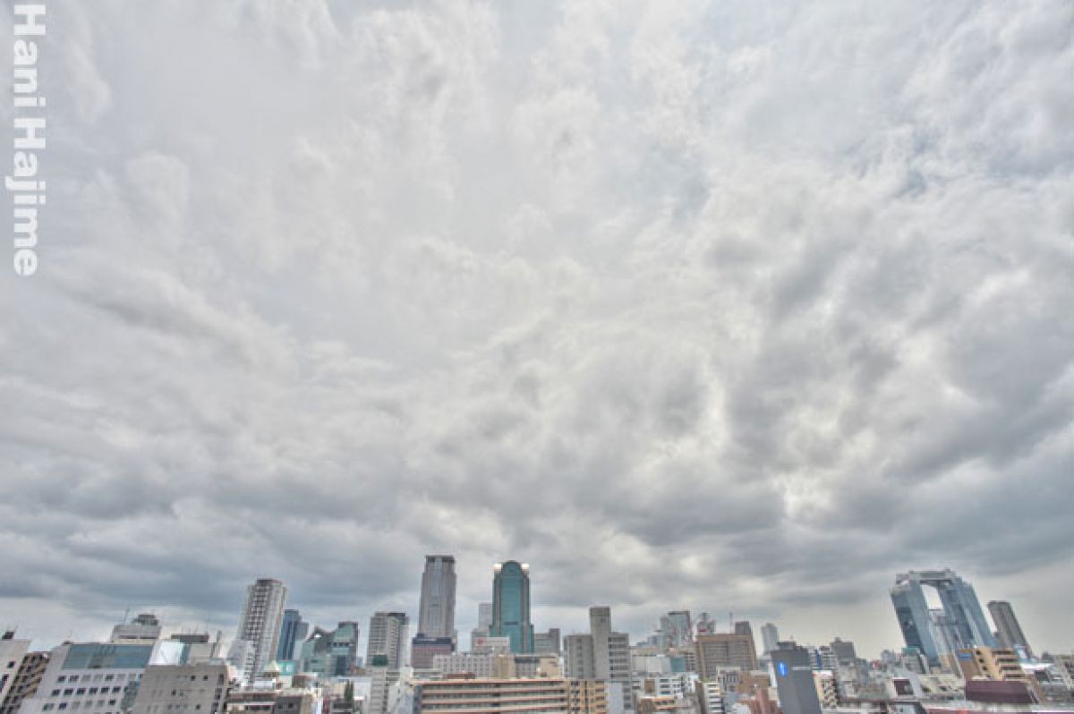 110802-12:48 | GANREF