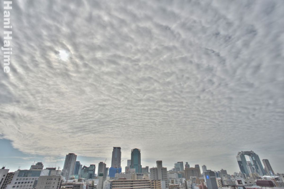 101008-09:45 | GANREF