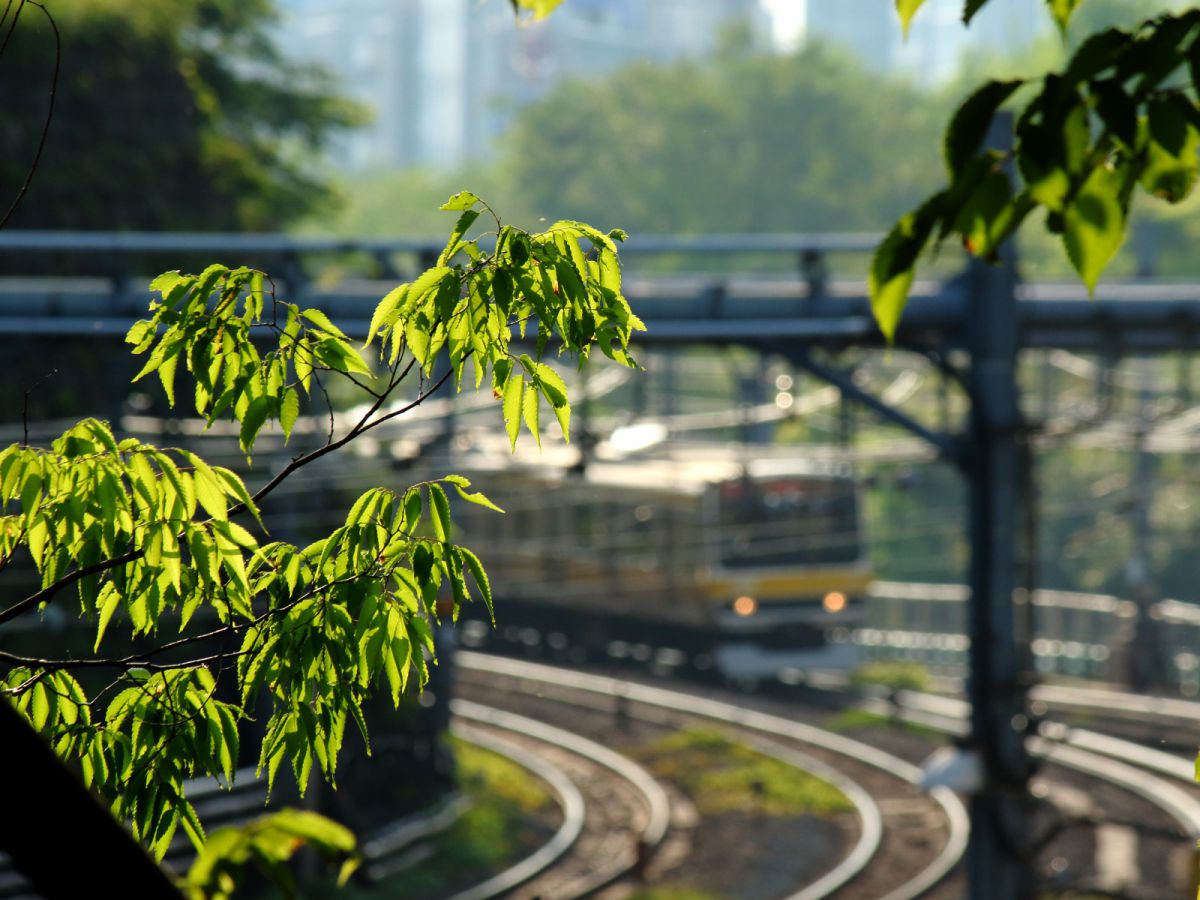 新緑の季節 | GANREF