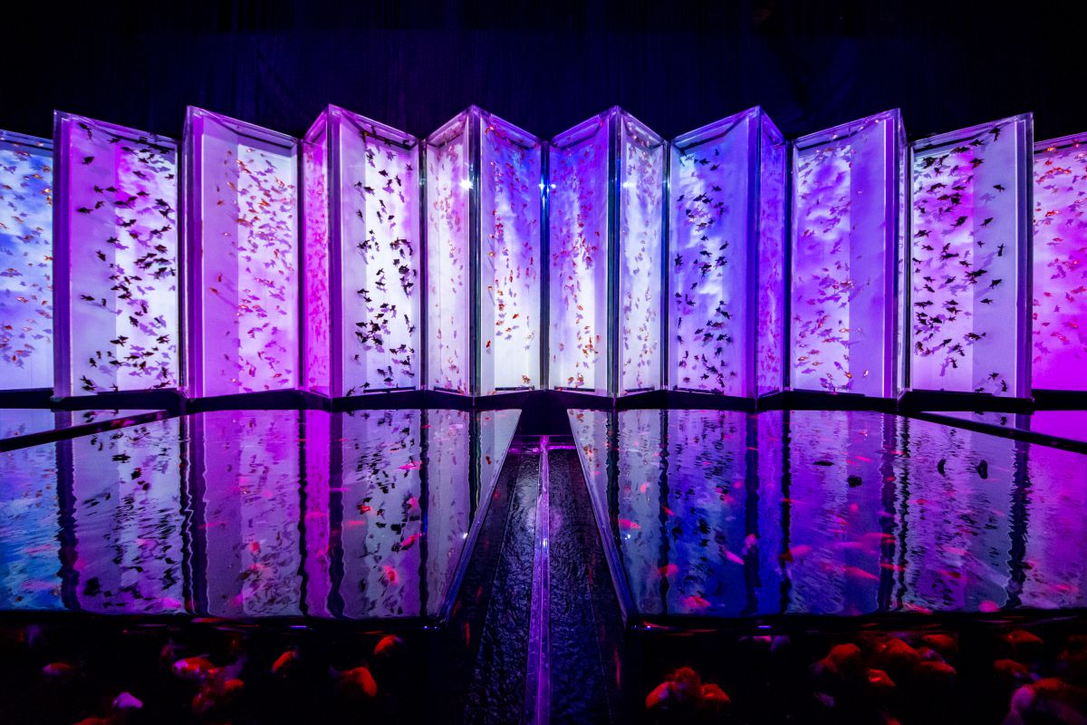 Miyabi, So Cool | GANREF