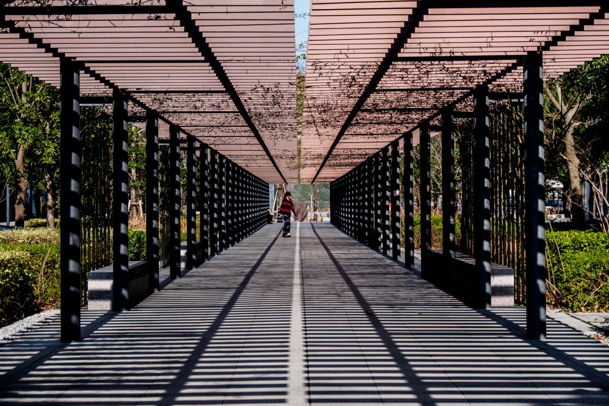 Stripe Zone | GANREF