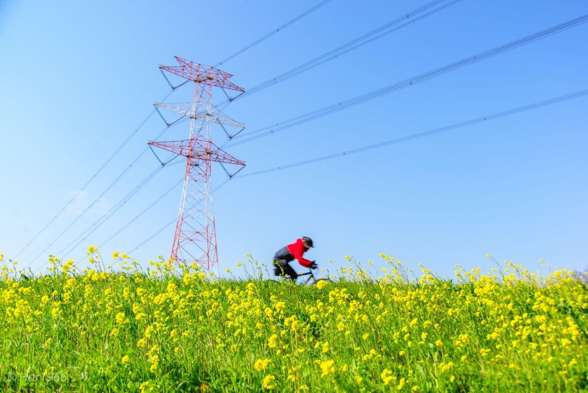 SPRING RIDE | GANREF