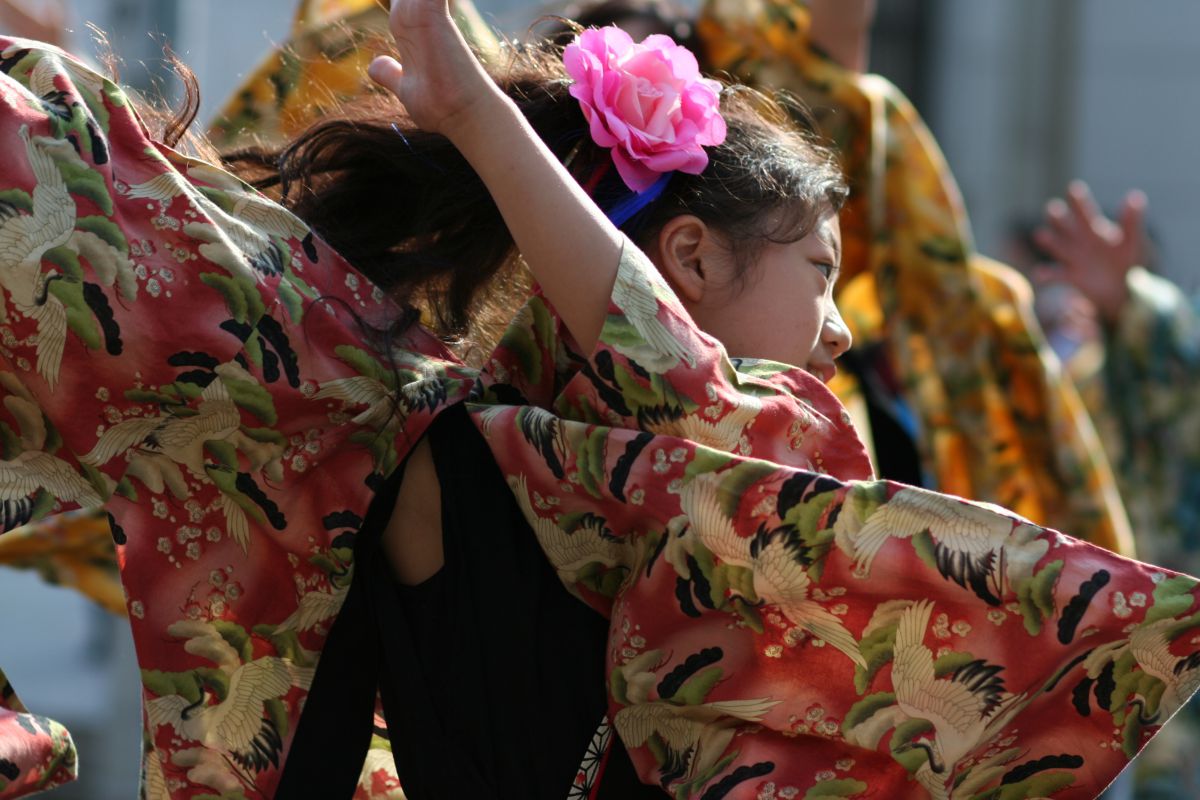 華麗な舞い | GANREF