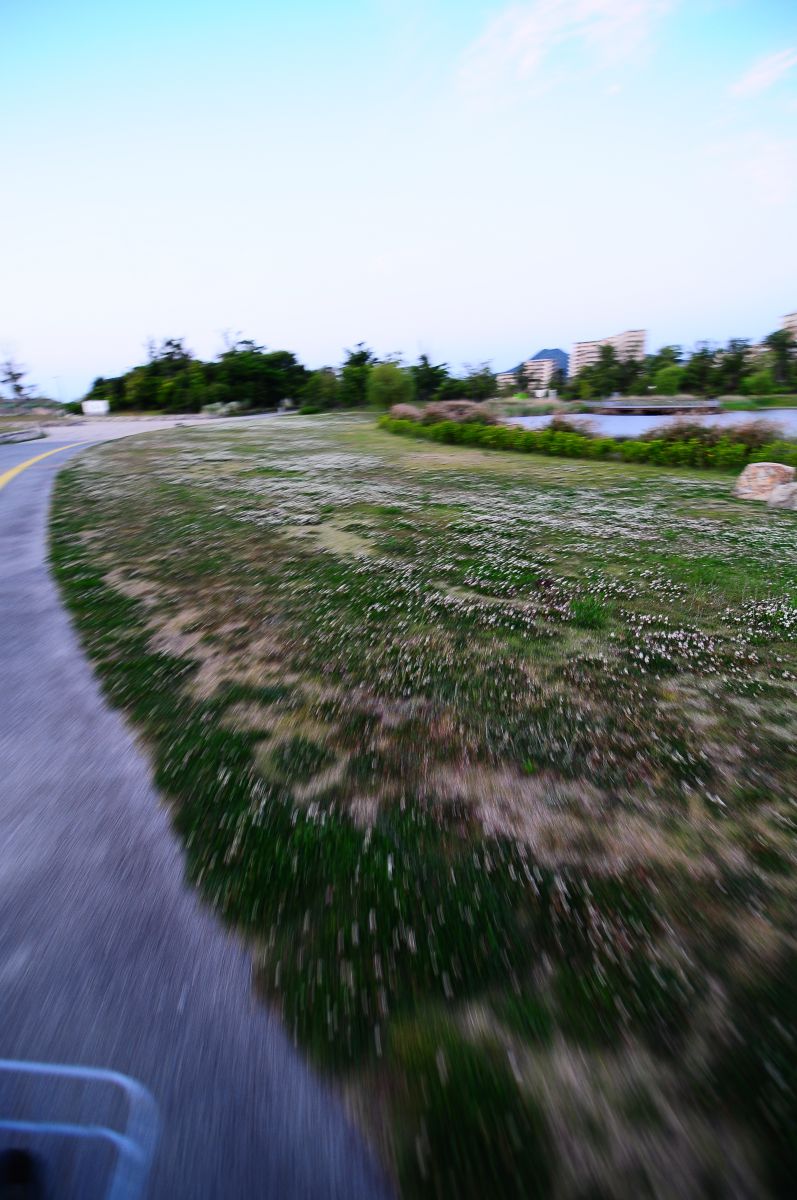 Warp Drive.jpg | GANREF