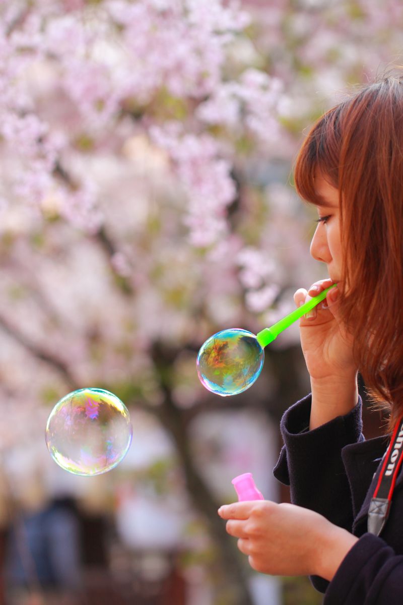 さくらの世界を閉じ込めて | GANREF