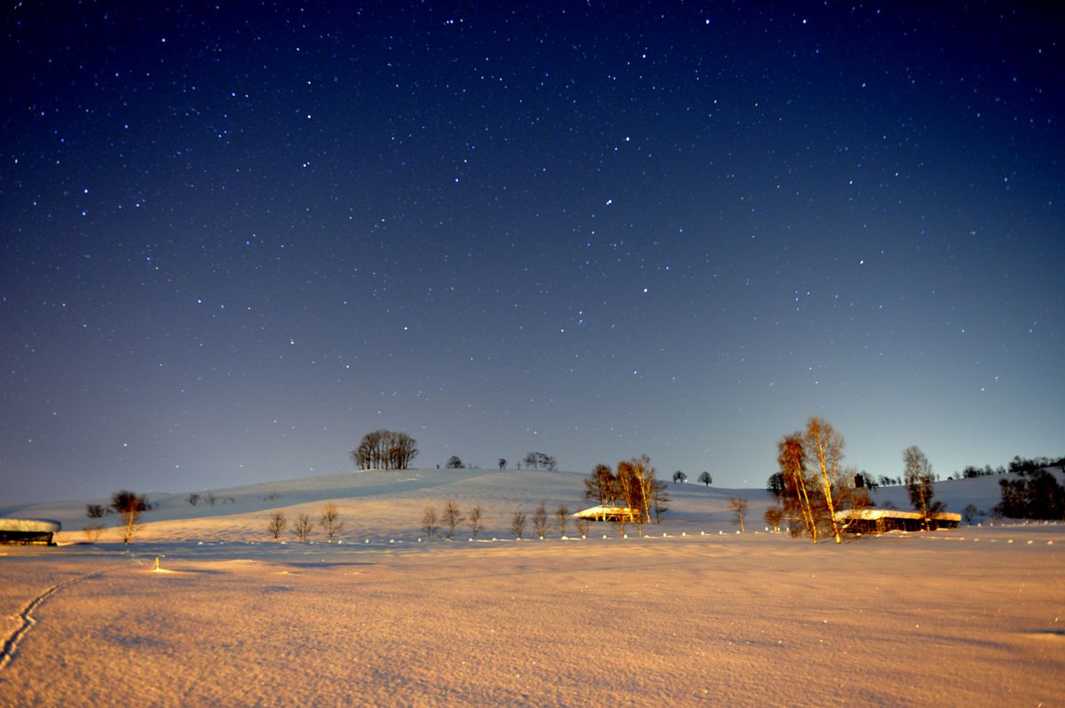 雪原のステージ | GANREF