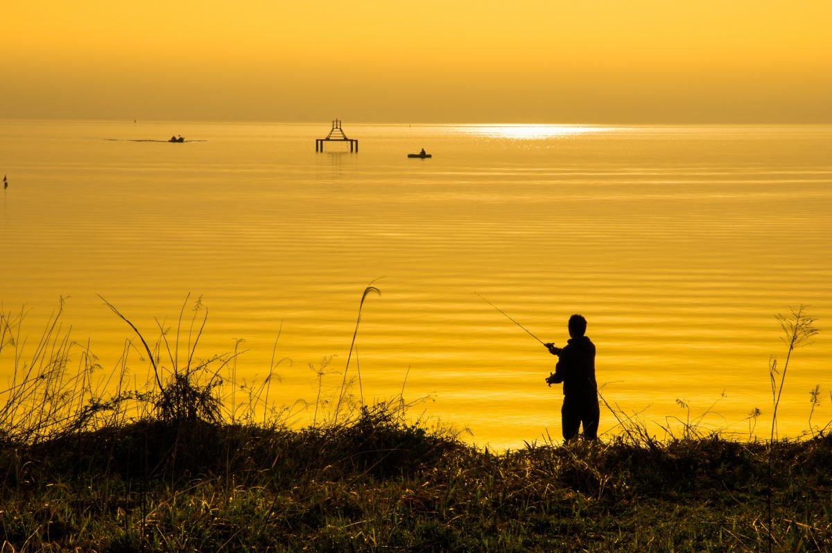 golden wave | GANREF