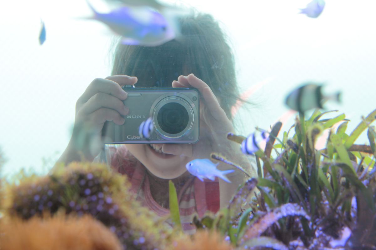 カメラ女子 まじか | GANREF