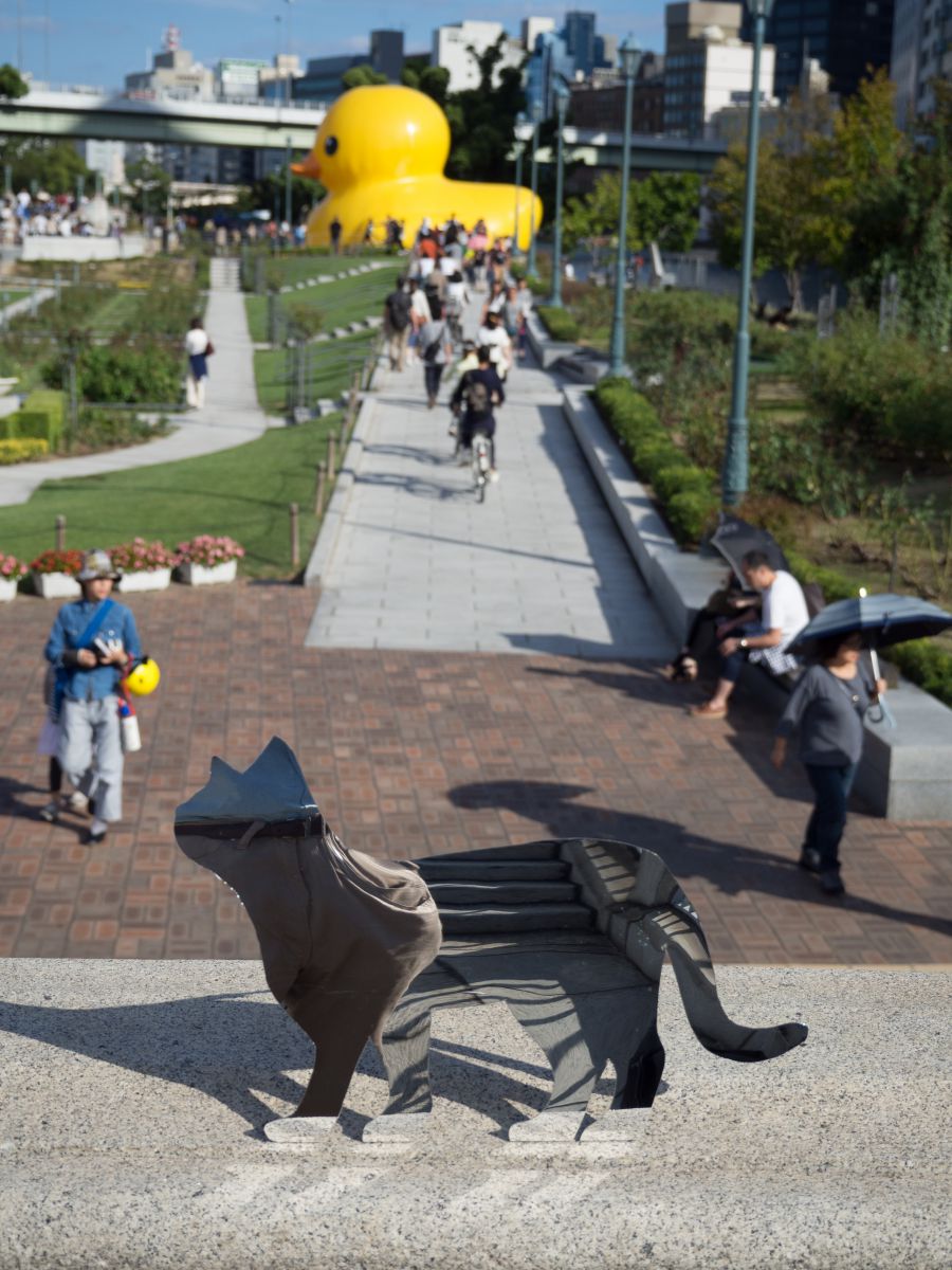 Rubber Duck & Mirror Cat | GANREF