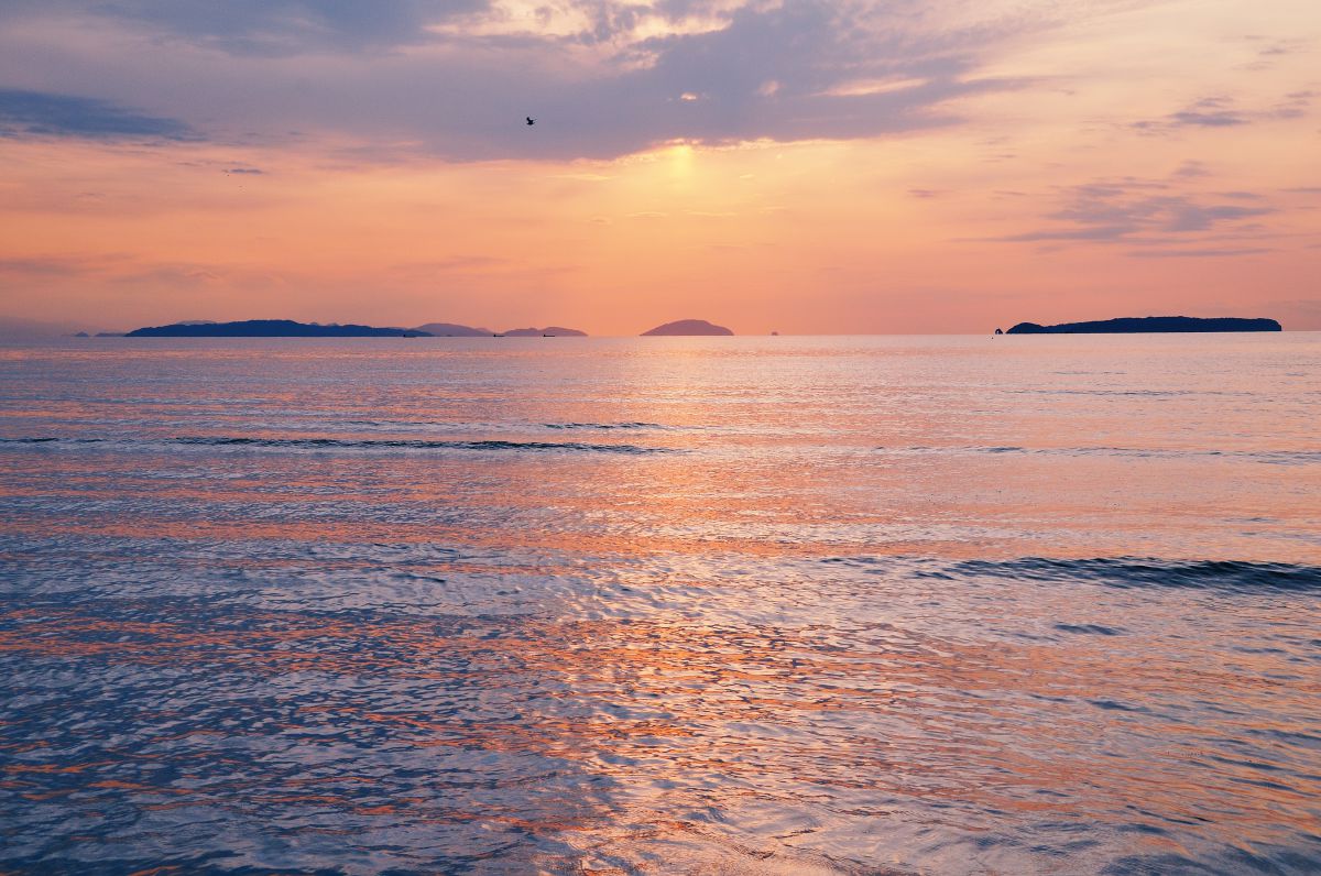 smooth operator | GANREF