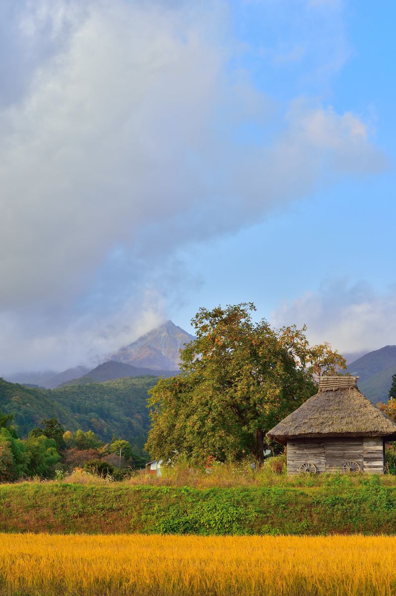 大山 2015 | GANREF