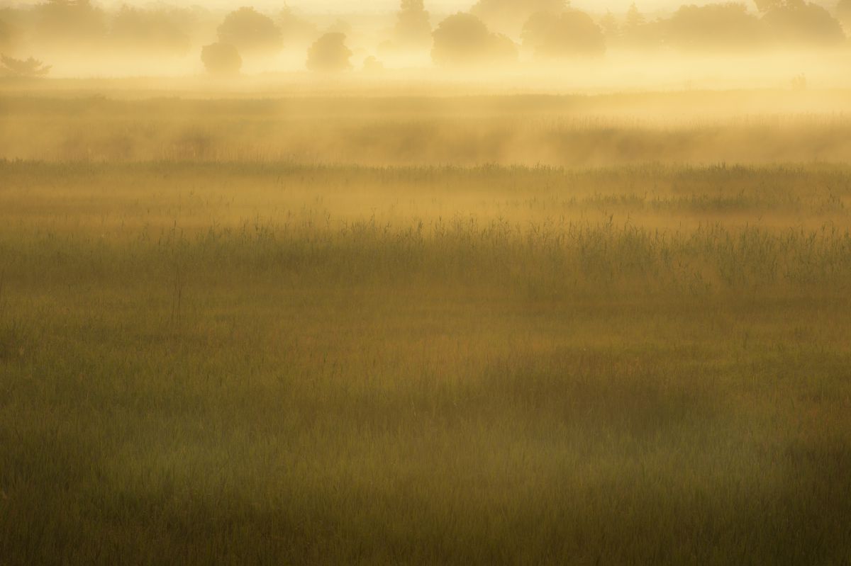 Misty morning Ⅱ | GANREF