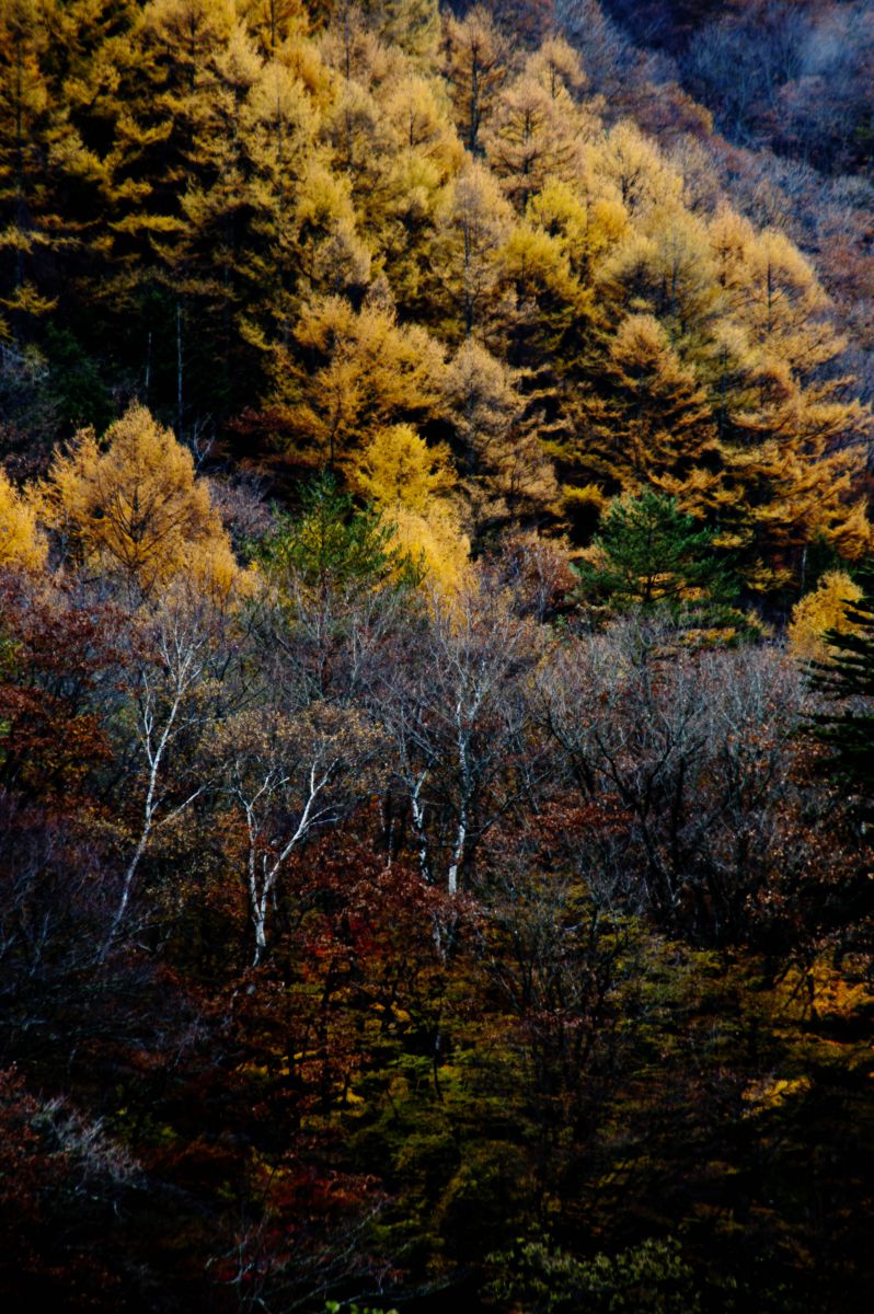 別れの時 | GANREF