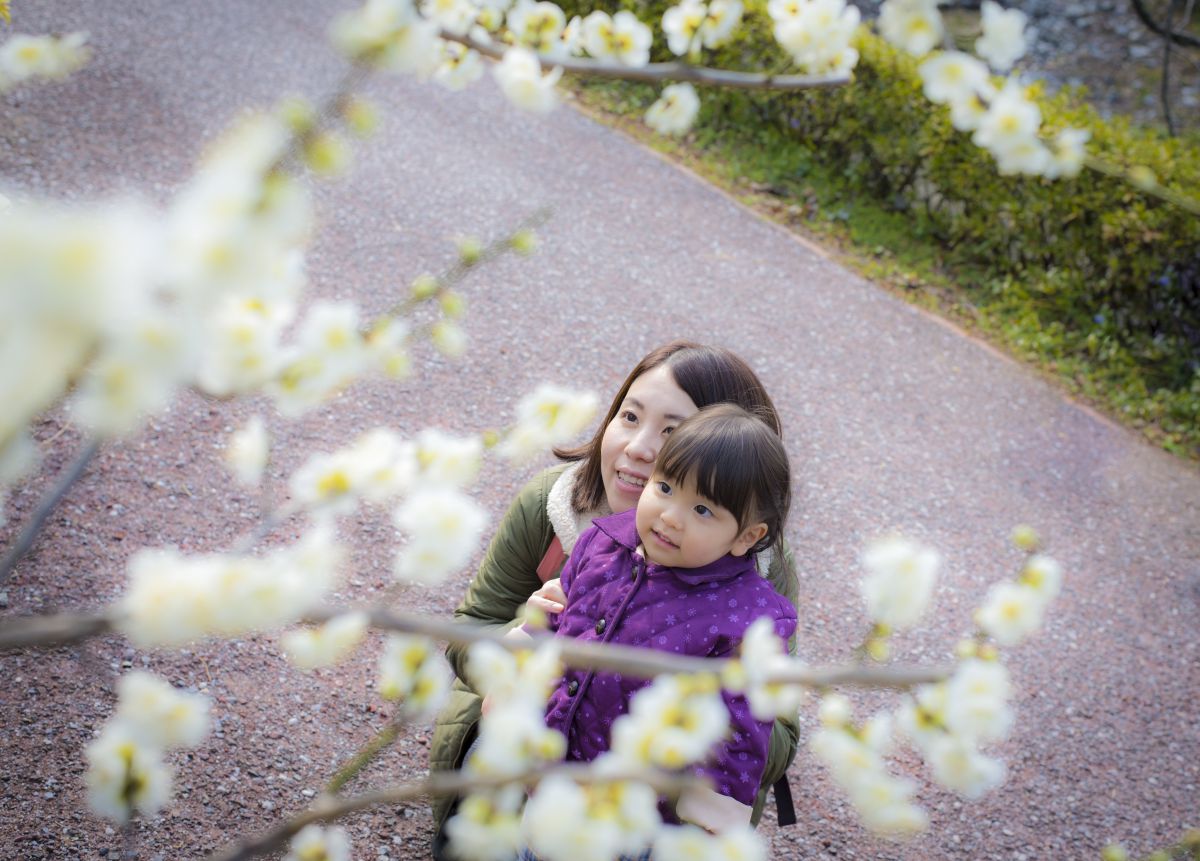 綺麗だね | GANREF