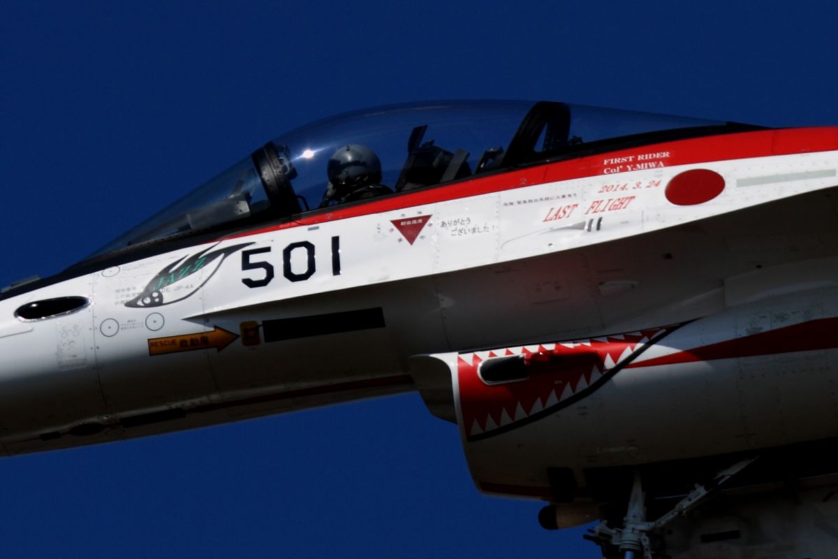 LAST FLIGHT | GANREF