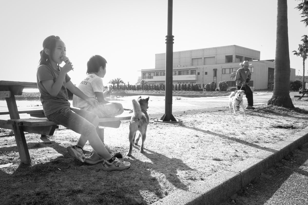 War readiness | GANREF