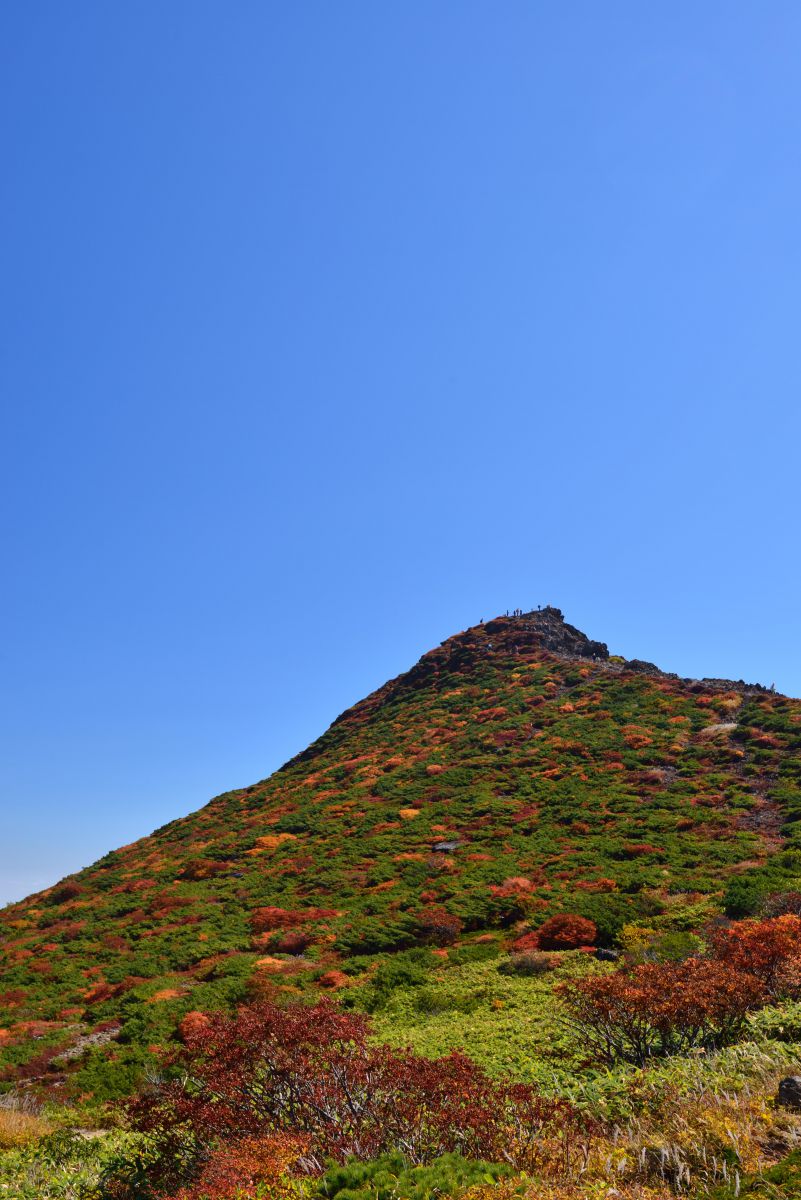 紅葉START | GANREF