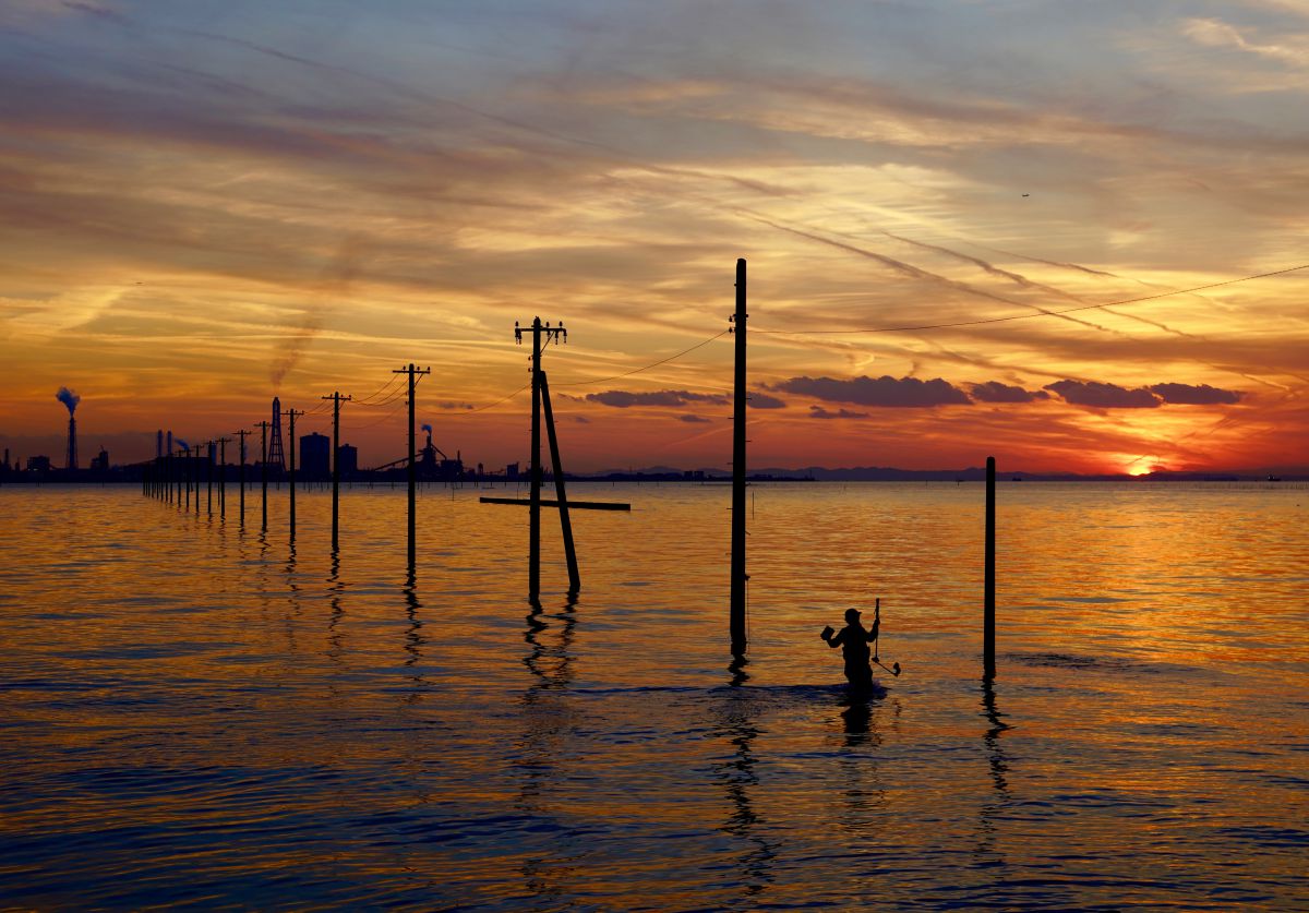 clam hunter | GANREF