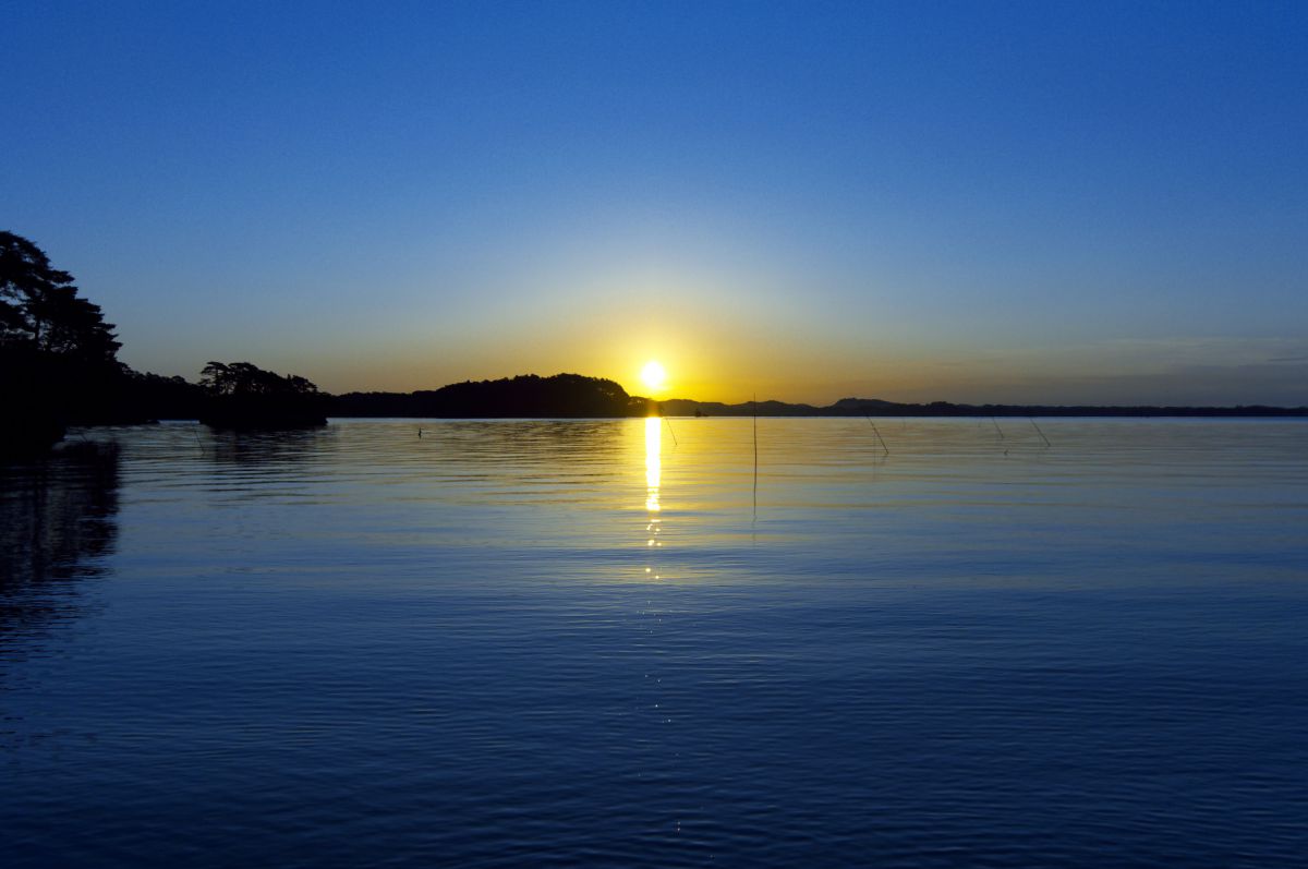 From Dusk Till Dawn | GANREF