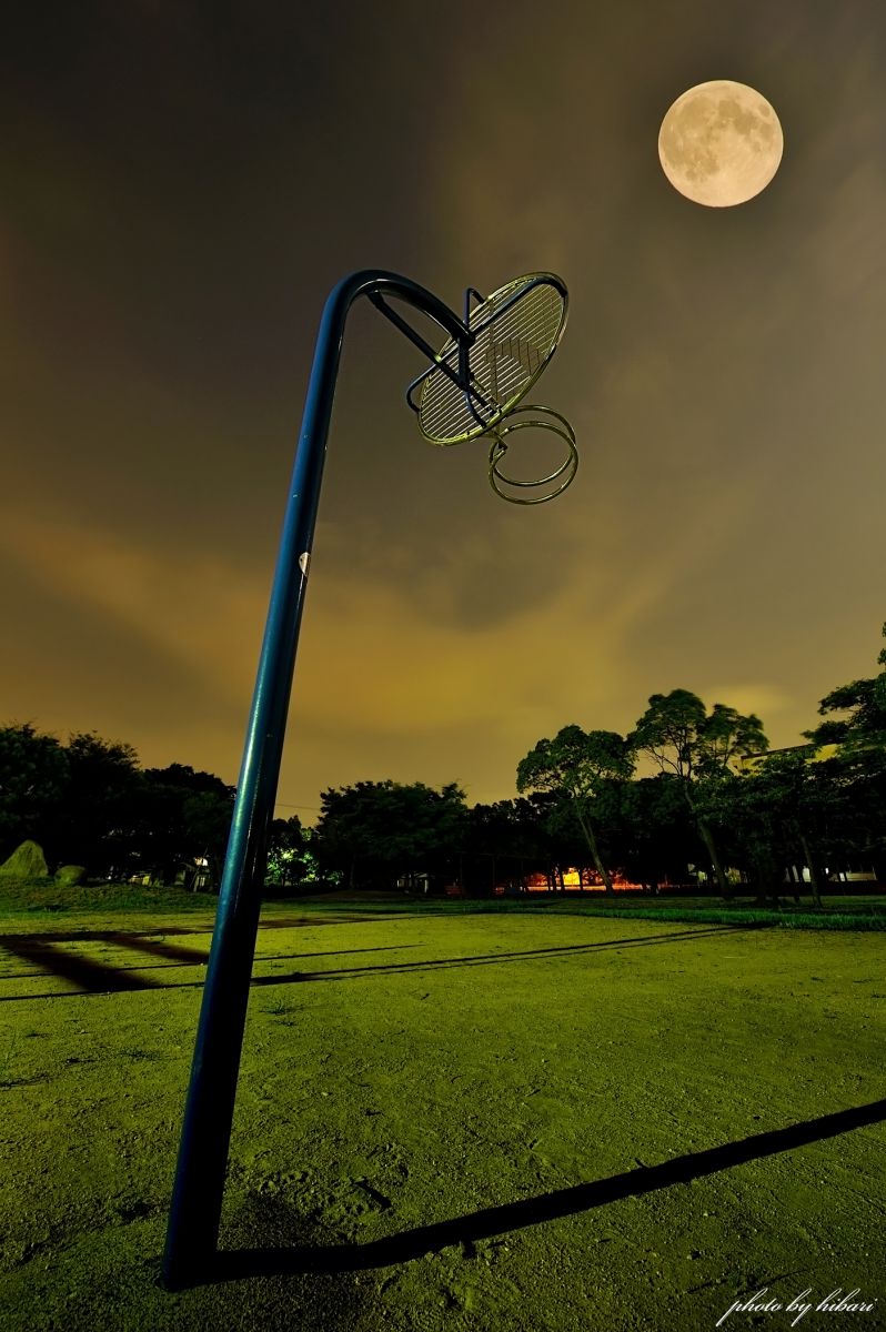 Basket goal | GANREF