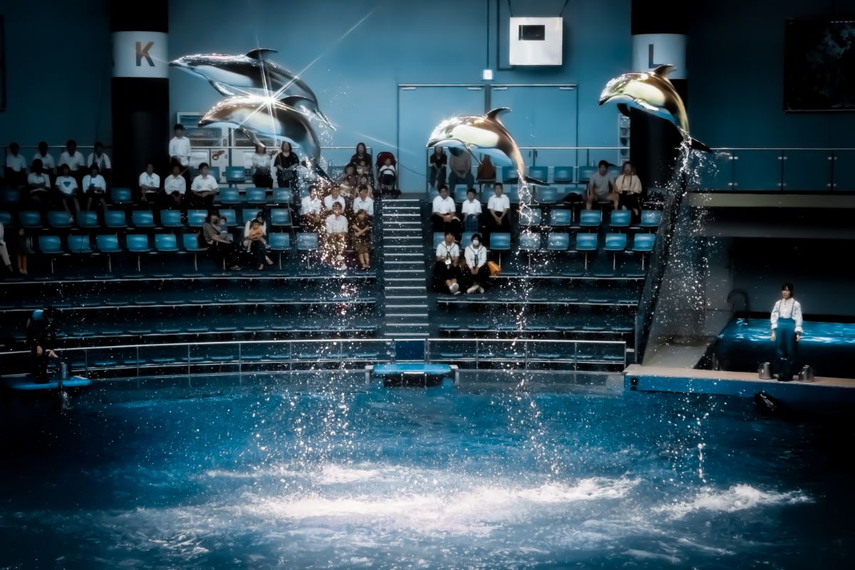 BLUE★IMPULSE | GANREF