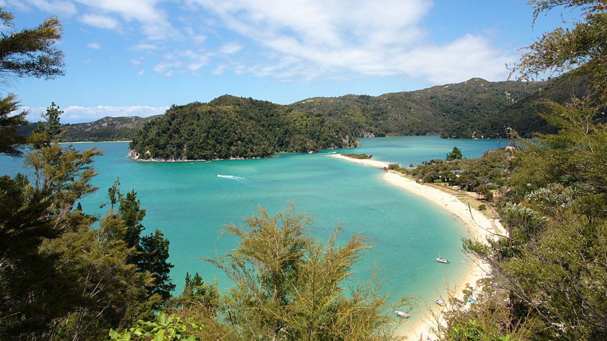 トレント ベイ(Torrent Bay) | GANREF