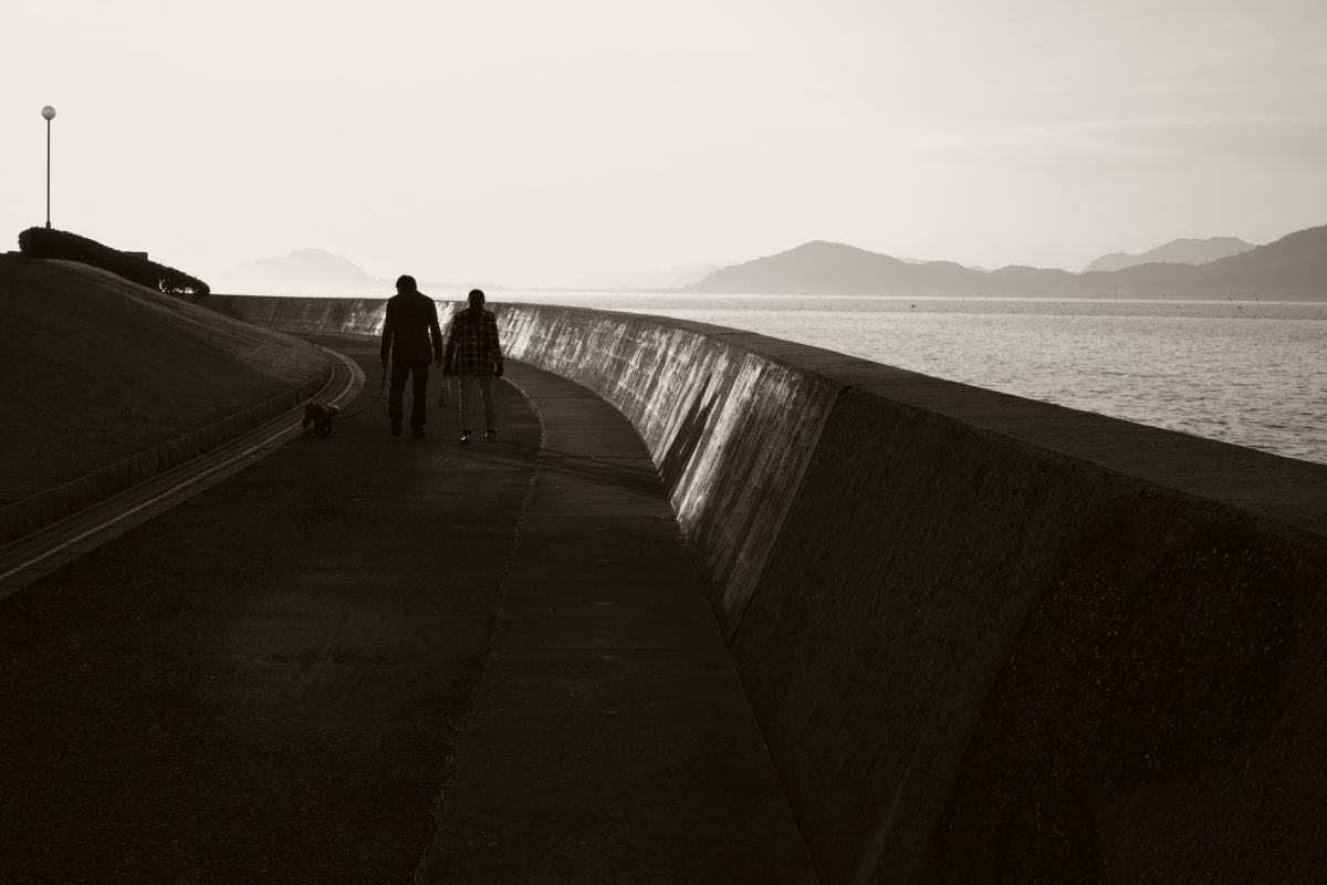 get along together | GANREF