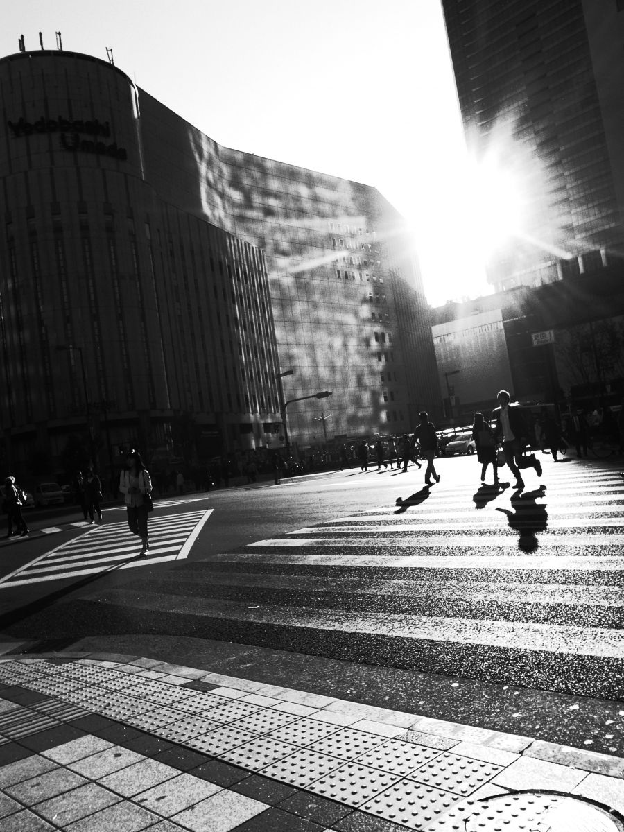 November Sun | GANREF